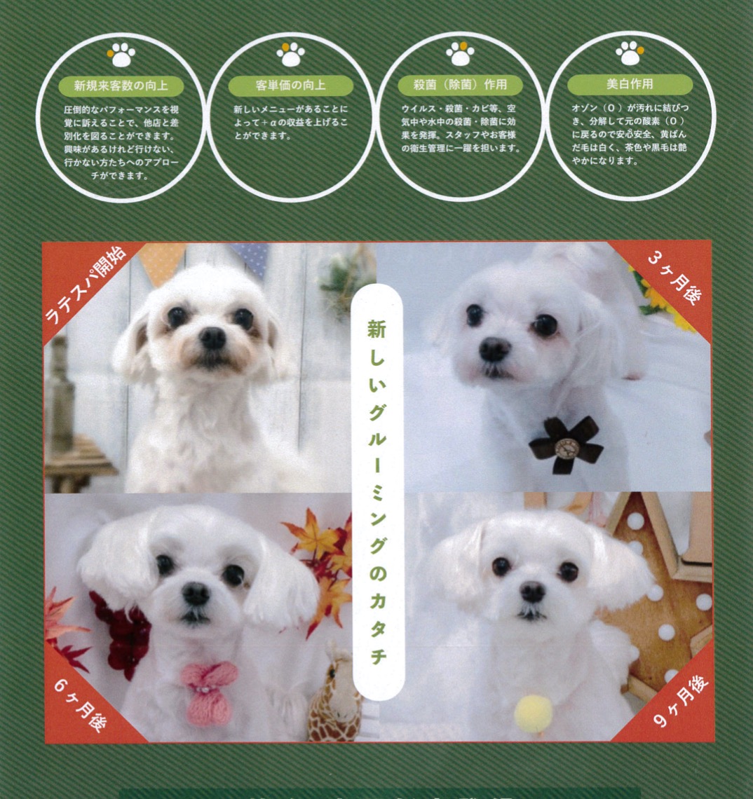 ラテスパ | 株式会社EMILUCK