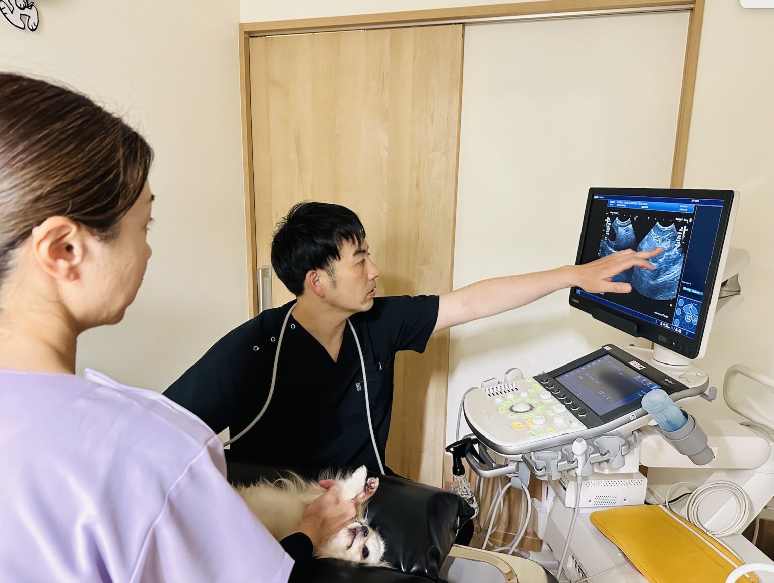 2023年4月 明石むかい動物病院様 新規開業 | 株式会社EMILUCK